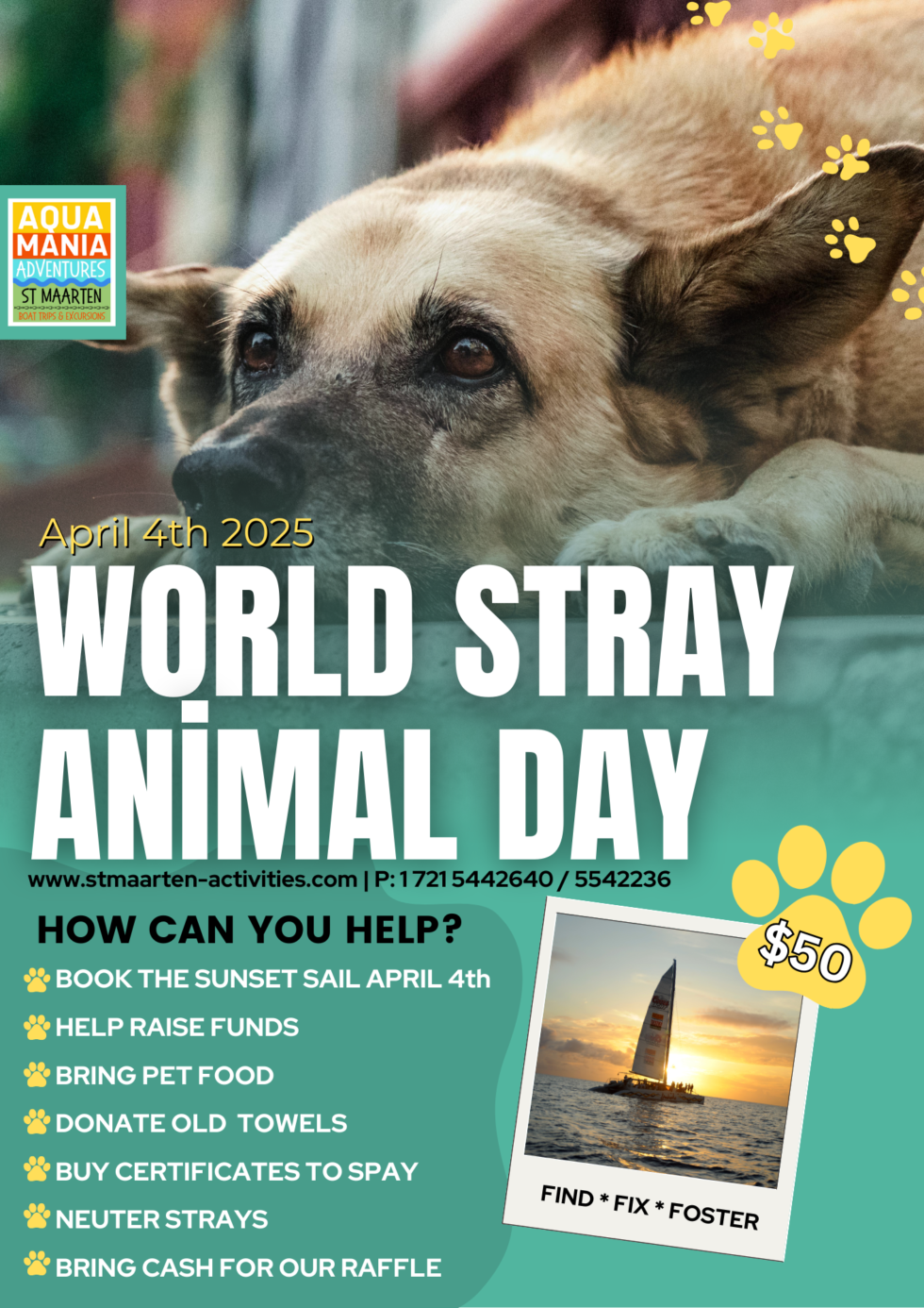 Aqua Mania Adventures Hosts Third Annual World Stray Animals Day Sunset ...